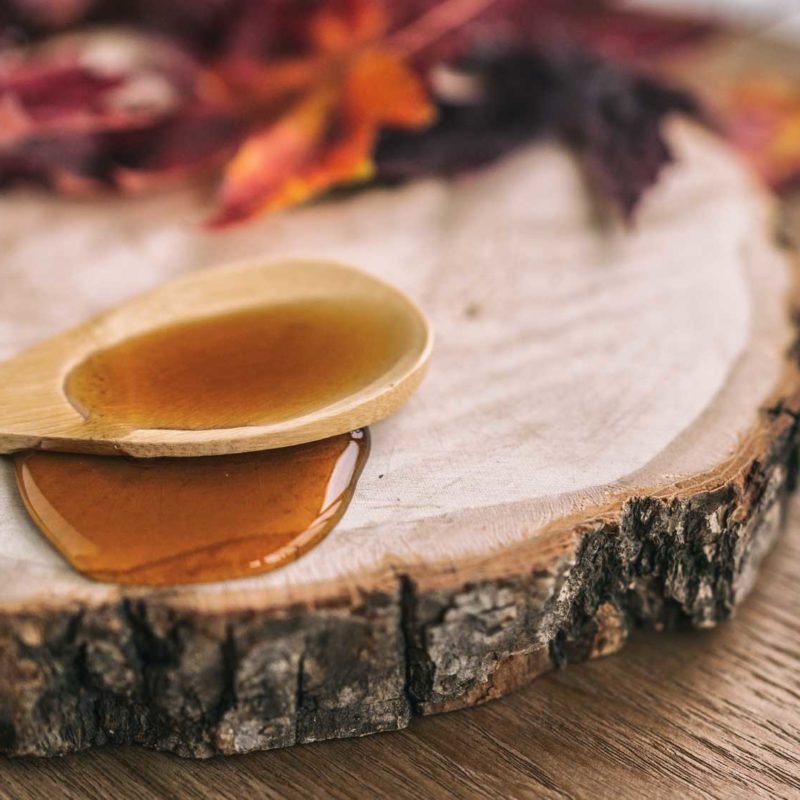 Maple Syrup Making Resources and Delicious Food Recipes