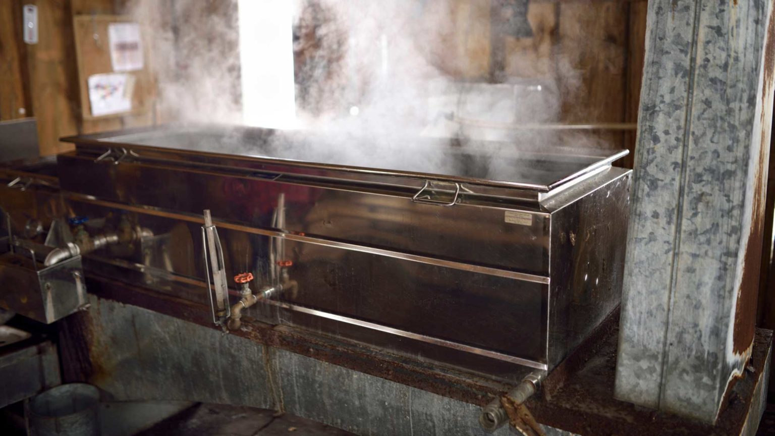 The Complete Beginners' Guide to Making Maple Syrup