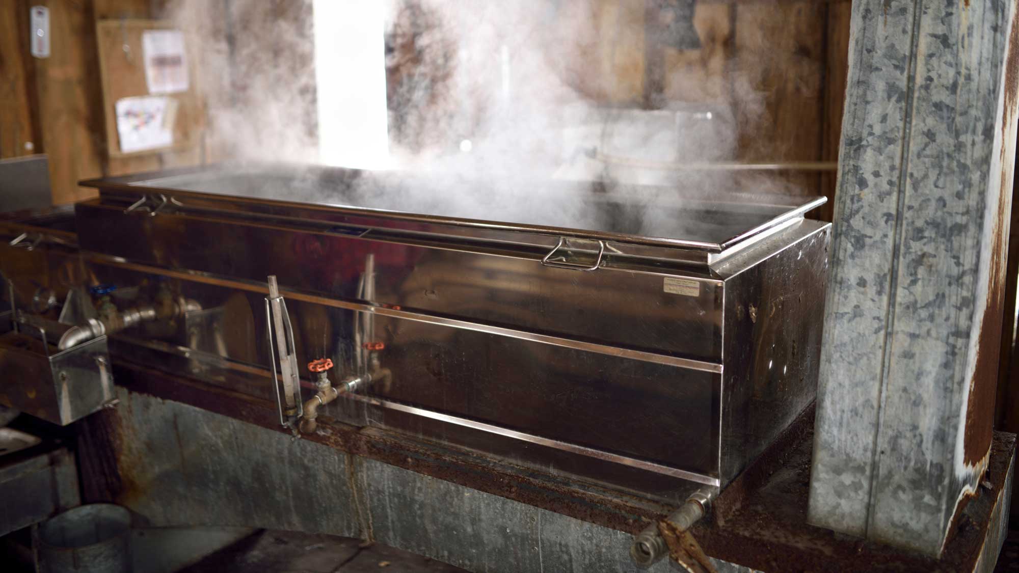 The Complete Beginners' Guide to Making Maple Syrup